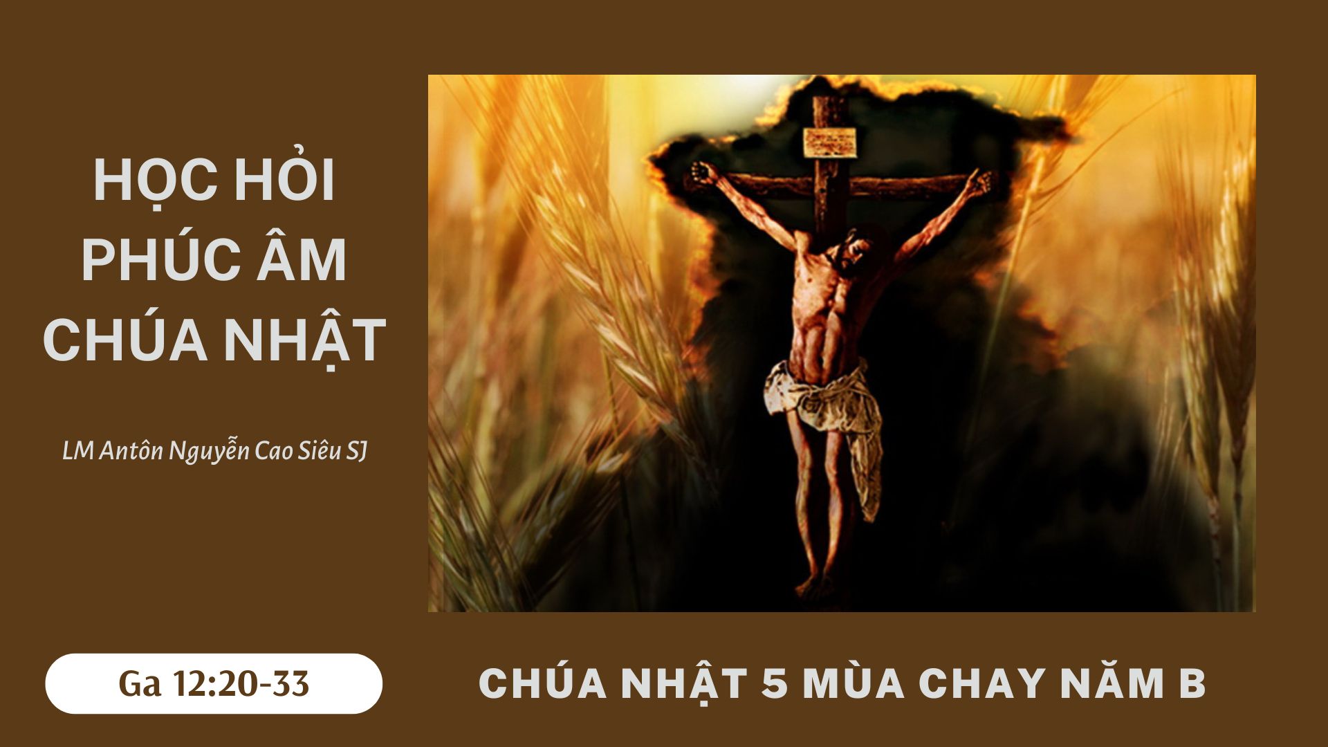 HỌC HỎI PHÚC ÂM CHÚA NHẬT 5 MÙA CHAY NĂM B (GA 12:20-33)